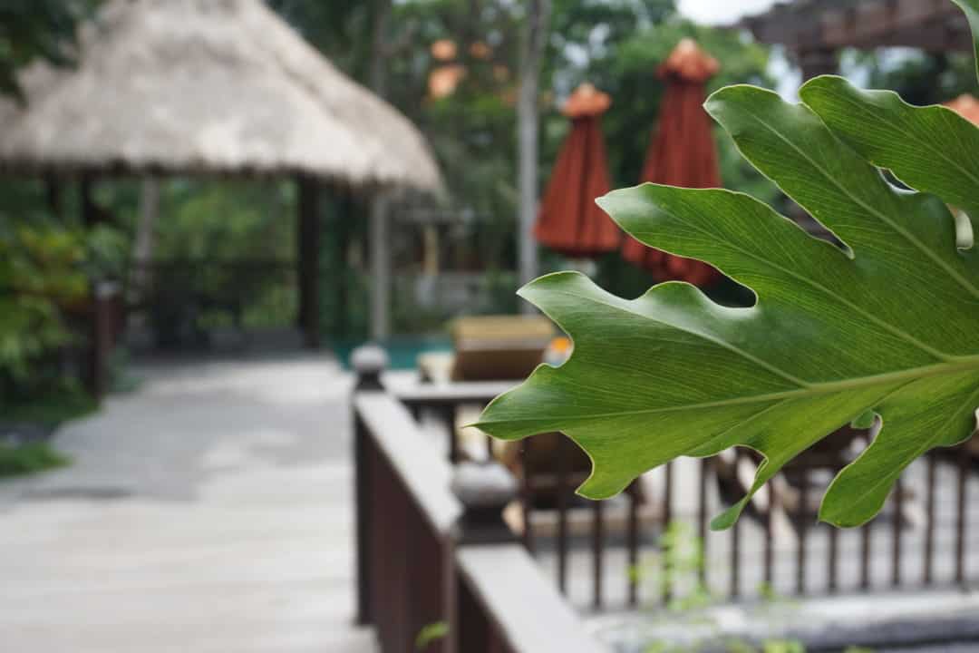 Relax the Mind and Body at Adiwana Resort Jembawan in Ubud - Bali