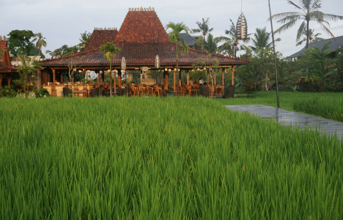 10 Amazing and Cultural Activities in Ubud You Must Try - Indonesia
