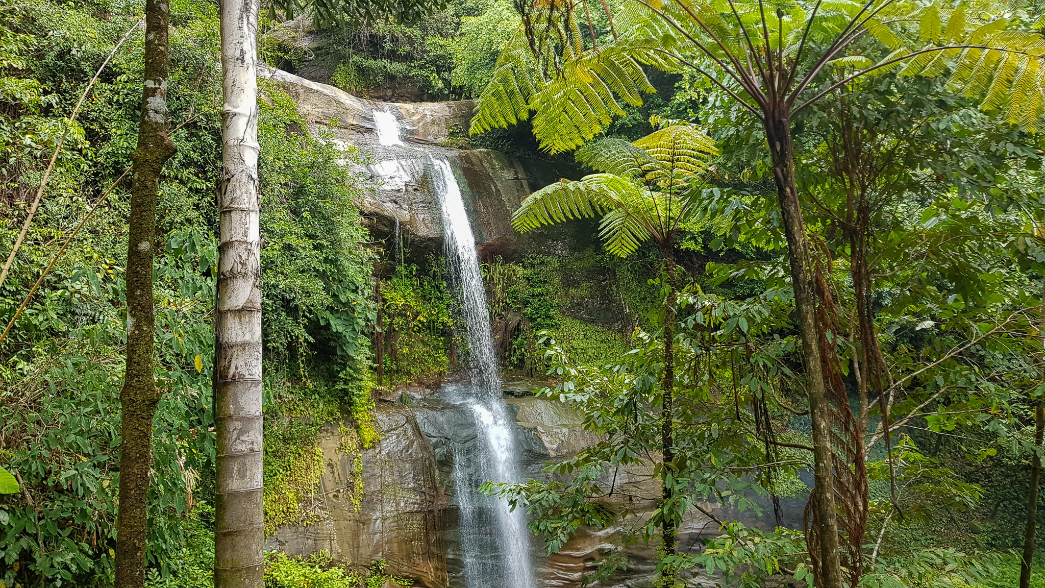 Why you need to choose a Nature Holiday for your next vacation!