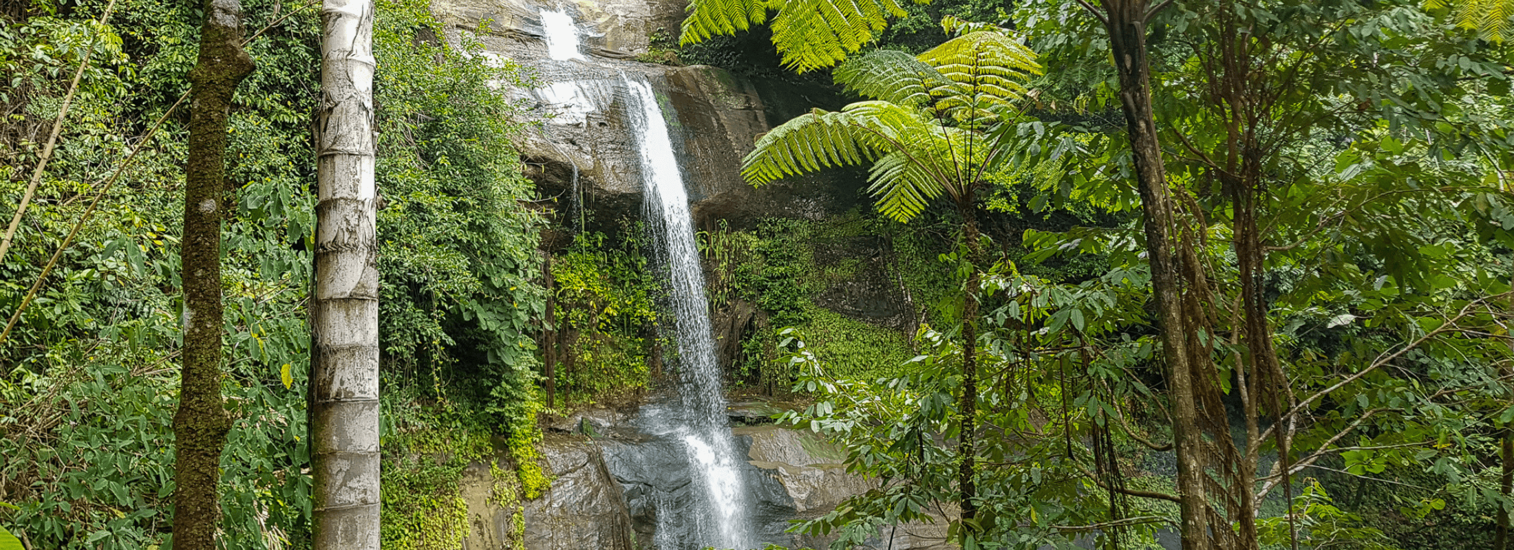 Southeast Asia Destinations - Explore the Jungle
