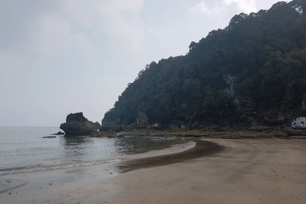 Bako National Park Day Trip - Sarawak - Incredible Sightseeing and Hiking