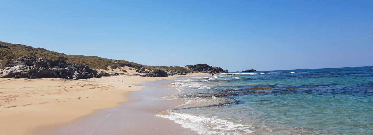 Awesome things to do in Penguin Island – Perth – Western Australia