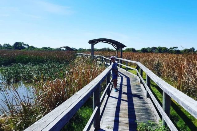 Top 13 Things to Do in Bunbury, Western Australia