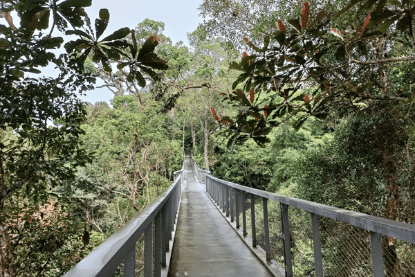 Outdoor Activities in Penang to Keep You Active in Malaysia