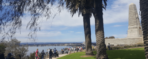 A Guide to Spending A Day in Kings Park, Perth!