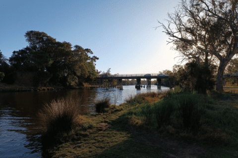 Breathtaking Reasons to Visit the Swan Valley in Perth