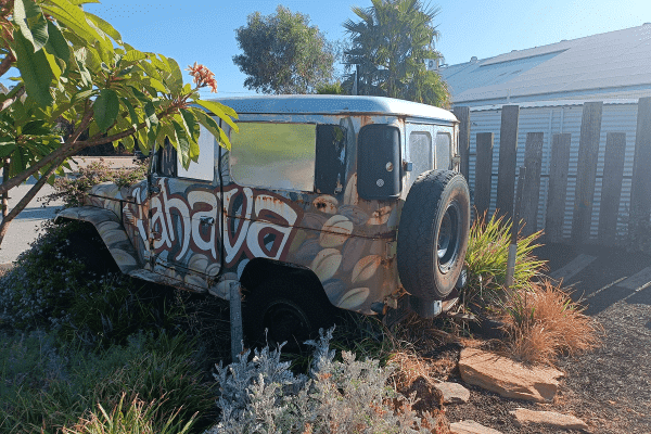 Breathtaking Reasons to Visit the Swan Valley in Perth