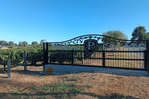 Breathtaking Reasons to Visit the Swan Valley in Perth