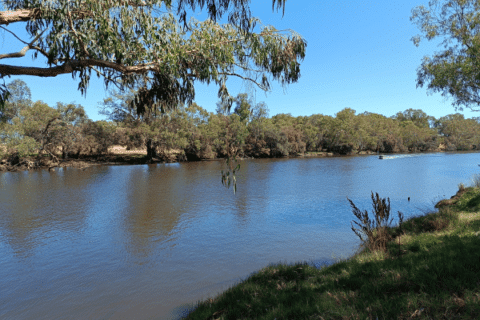Breathtaking Reasons to Visit the Swan Valley in Perth
