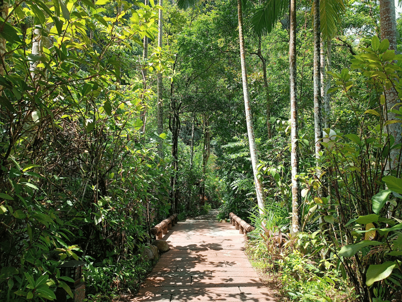 Unwind and Indulge: The Banjaran Hotsprings Retreat Review
