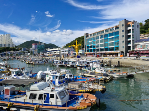 Discover the Best Things To Do in Yeosu - South Korea