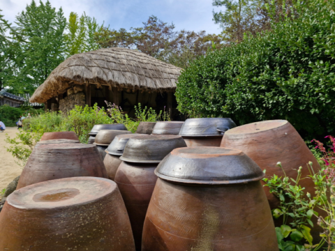 Korean Folk Village in Autumn, Suwon - South Korea